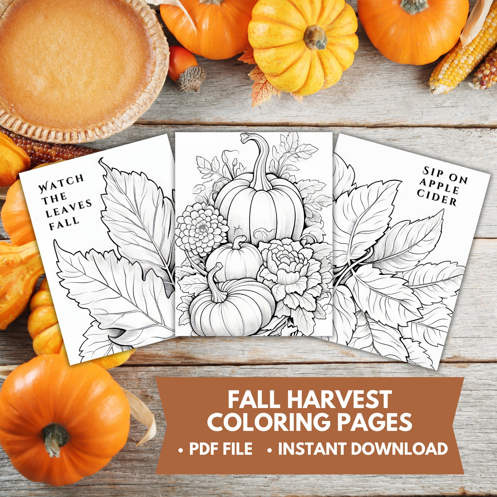Thanksgiving Coloring Pages, Autumn Activity, Fall Printable, Pumpkin ...