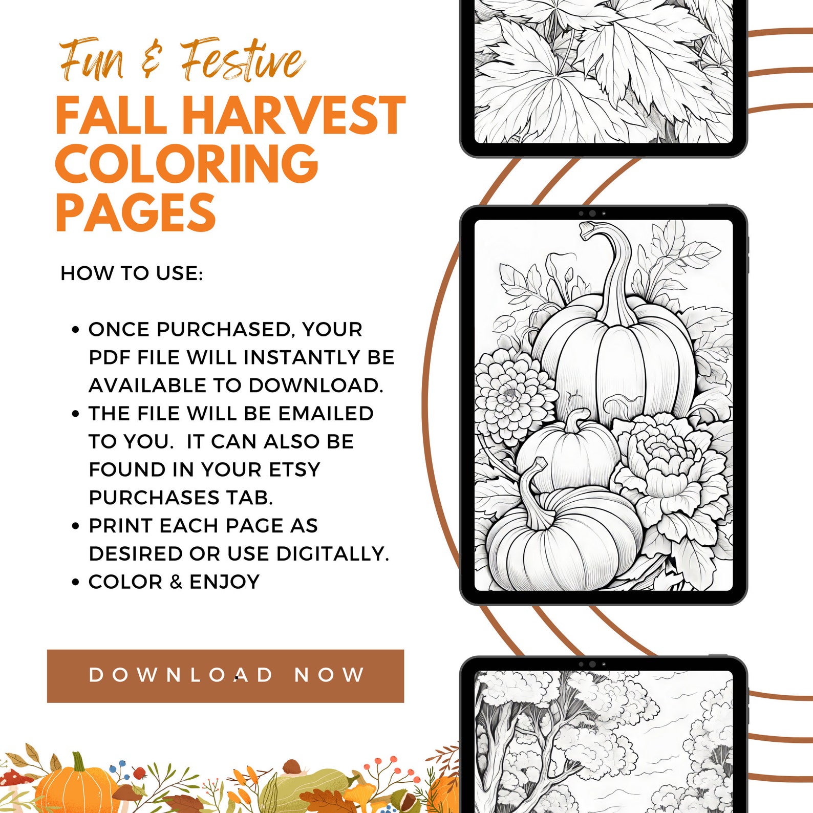 Thanksgiving Coloring Pages, Autumn Activity, Fall Printable, Pumpkin ...