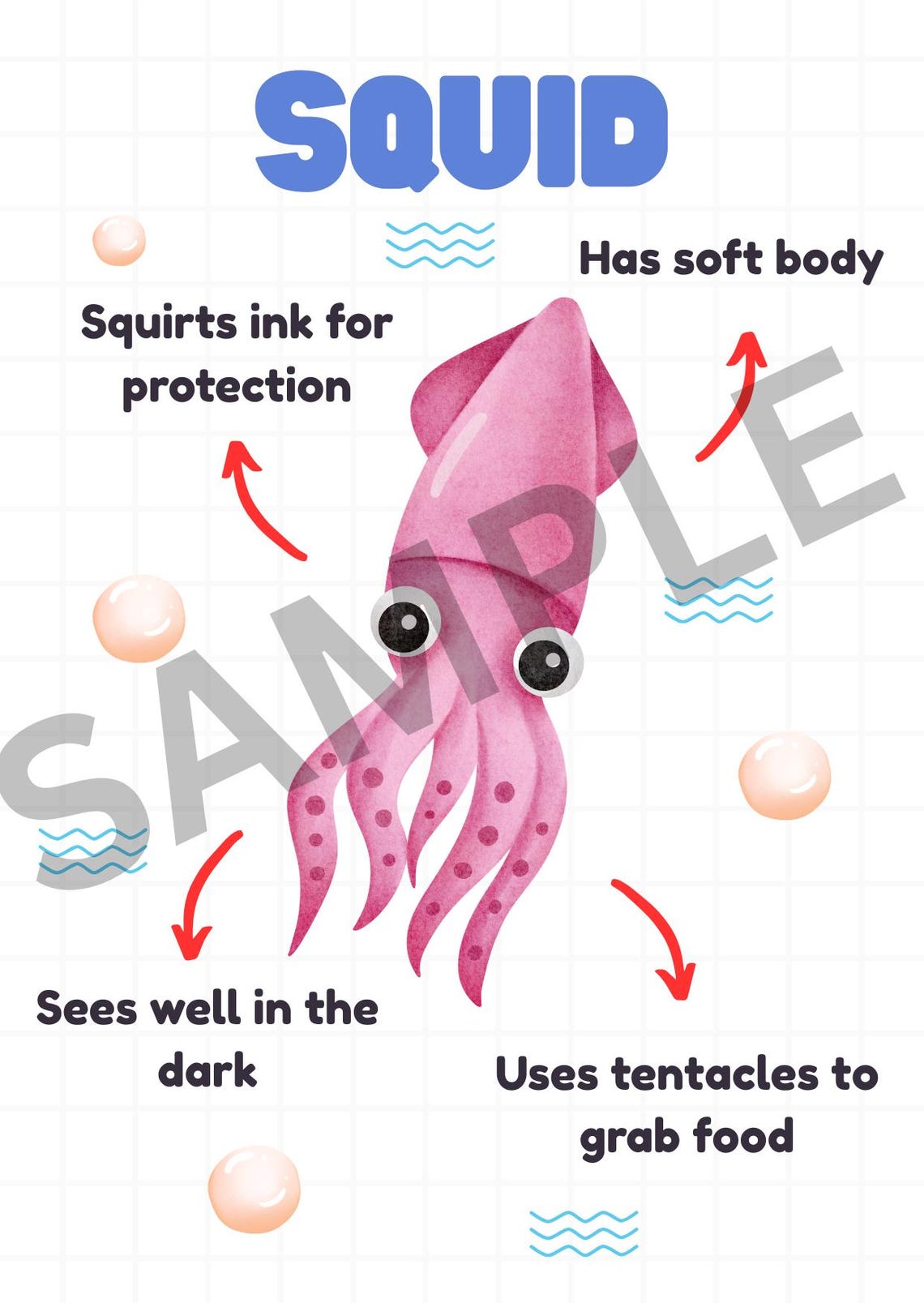 Sea Animals Cards - Etsy
