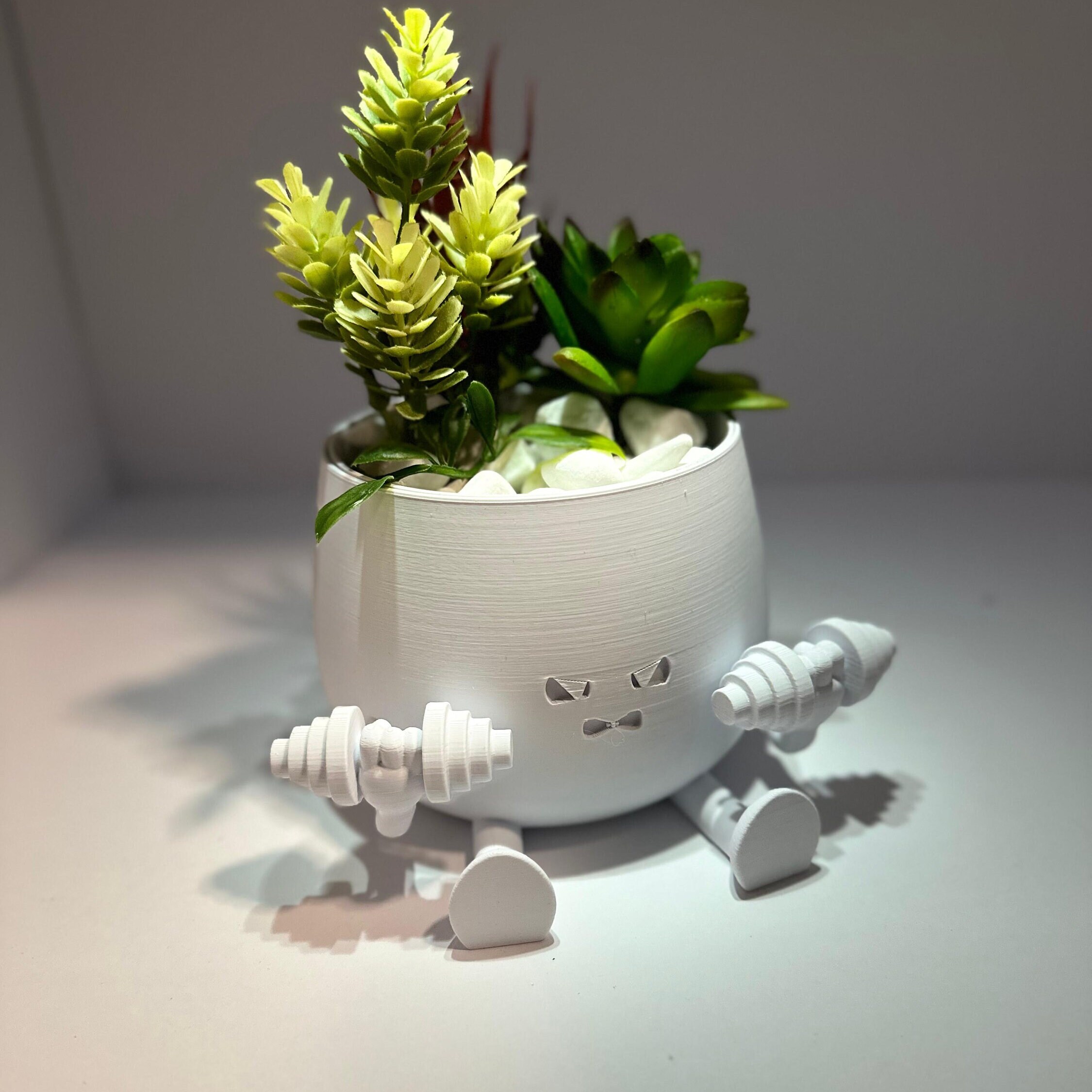 GYM Face Pot, Smiling Pot, Cute Kawaii Pot GYM Pot Charming and Fun ...