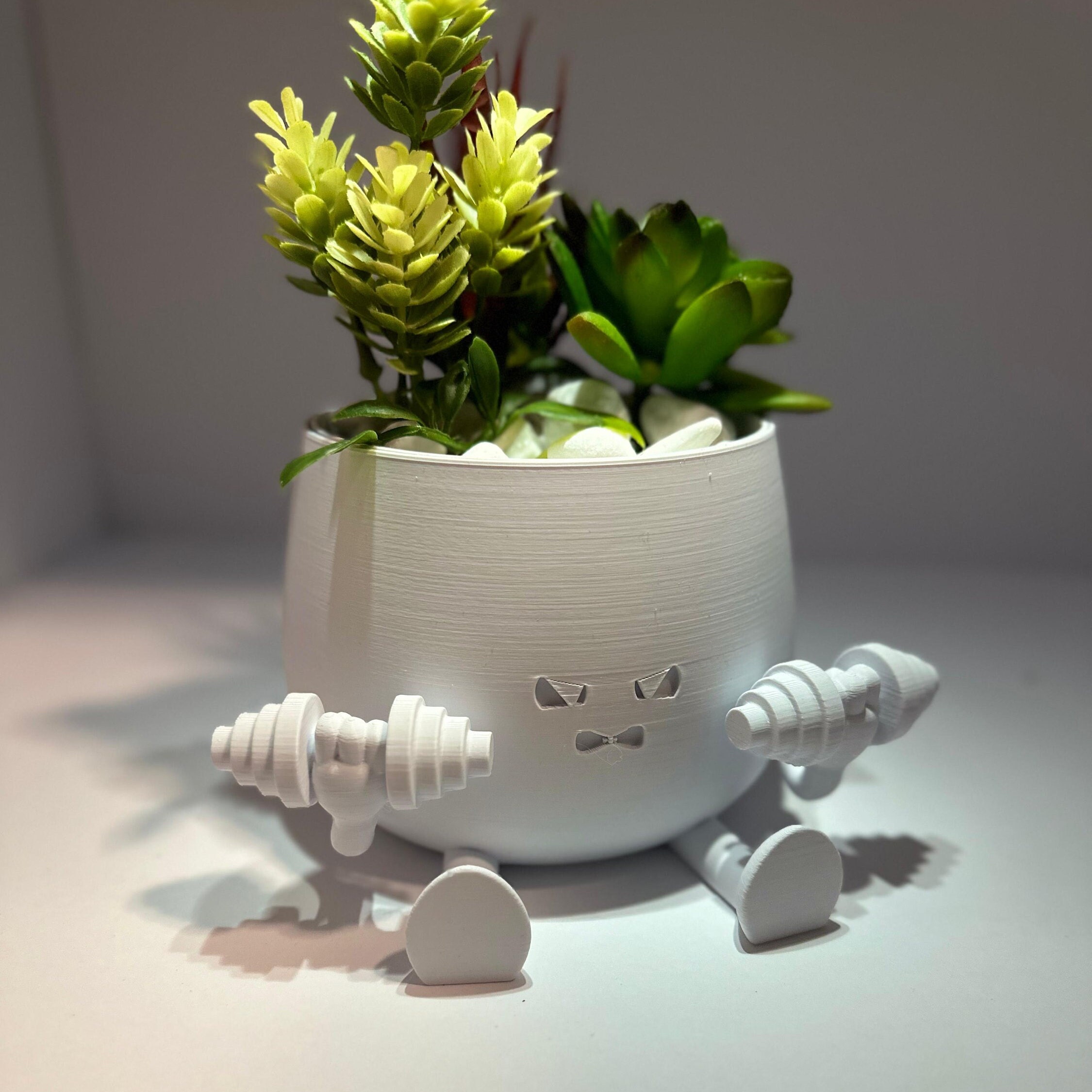 GYM Face Pot, Smiling Pot, Cute Kawaii Pot GYM Pot Charming and Fun ...