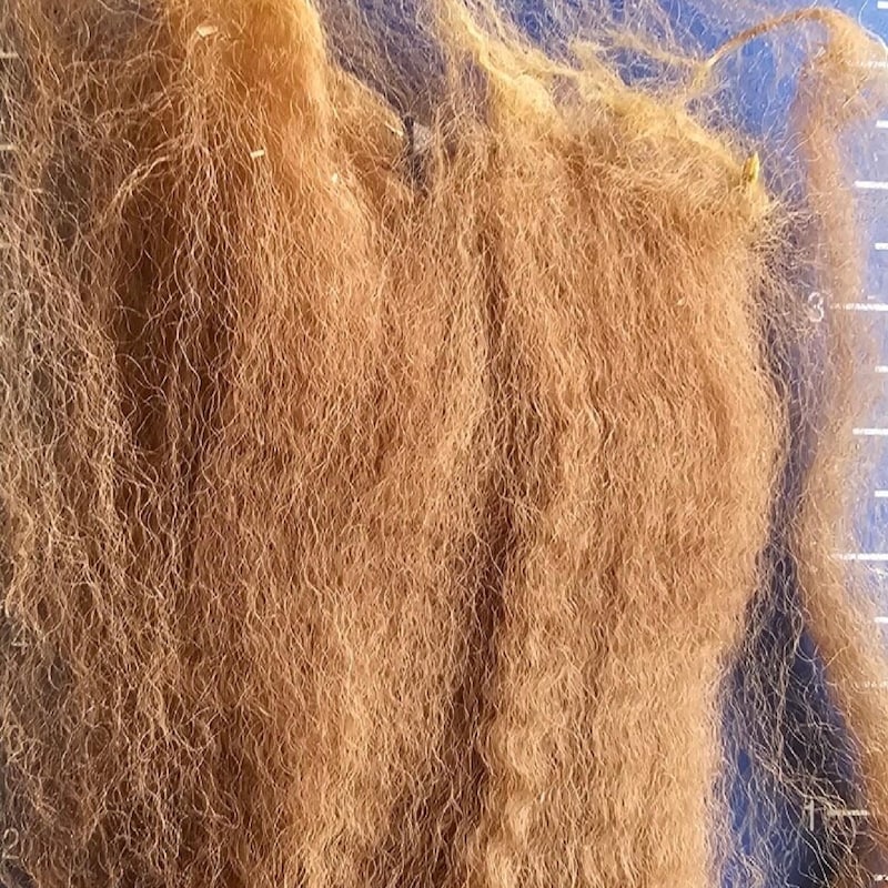 Long Fiber Raw Wool - Etsy