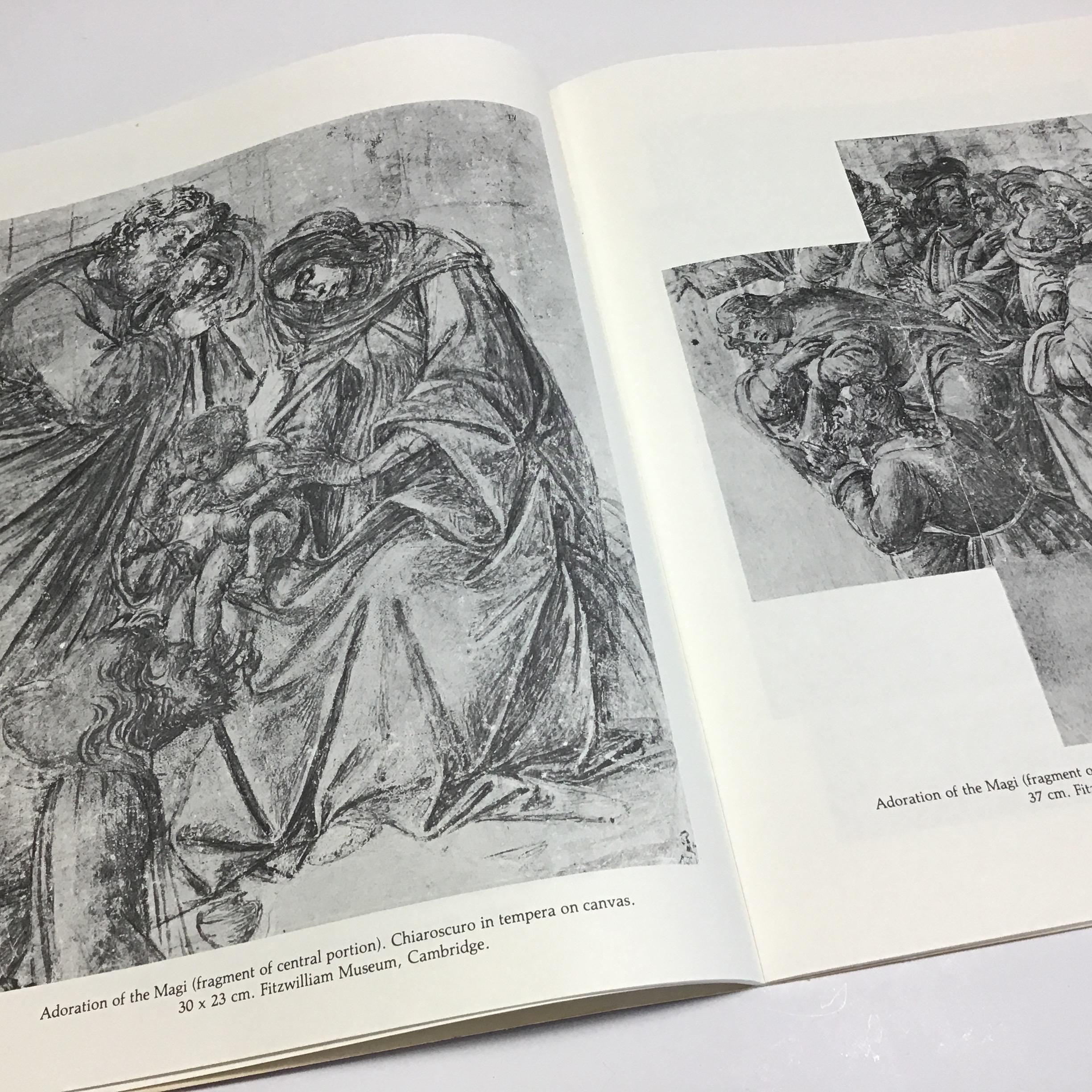 Botticelli Drawings: 44 Works - Vintage 1982 PB Book - Dover ...