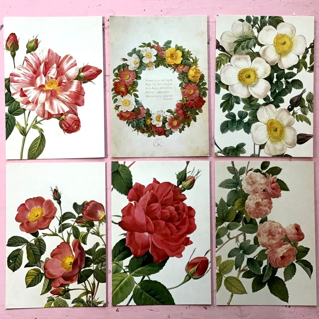 6 Vintage Floral Postcards - Roses by Pierre-joseph Redouté, Rose Decor ...