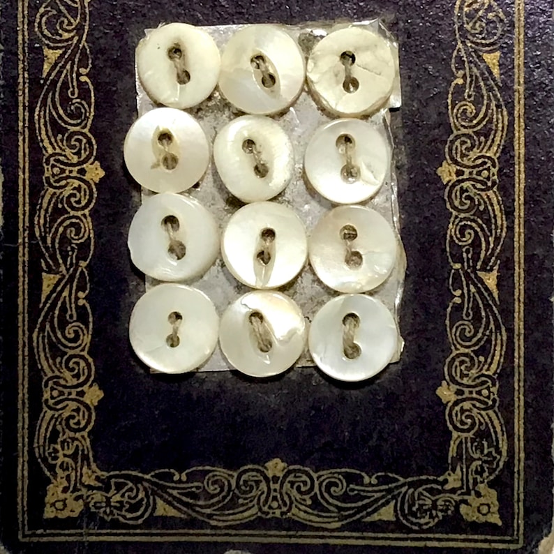 12 Antique French Boutons De Nacre/mother of Pearl Buttons on Original ...