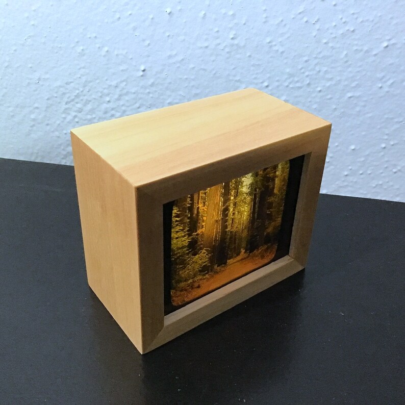 Magic Lantern Slide 2-sided Light Box California Redwood Trees & Steep ...
