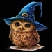 Owl Wizard PNG | Mystical Owl PNG File | Magical Owl PNG | Voodoo Owl ...