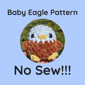 No Sew Baby Eagle Pattern, No Sew Pattern, Crochet Eagle Pattern ...