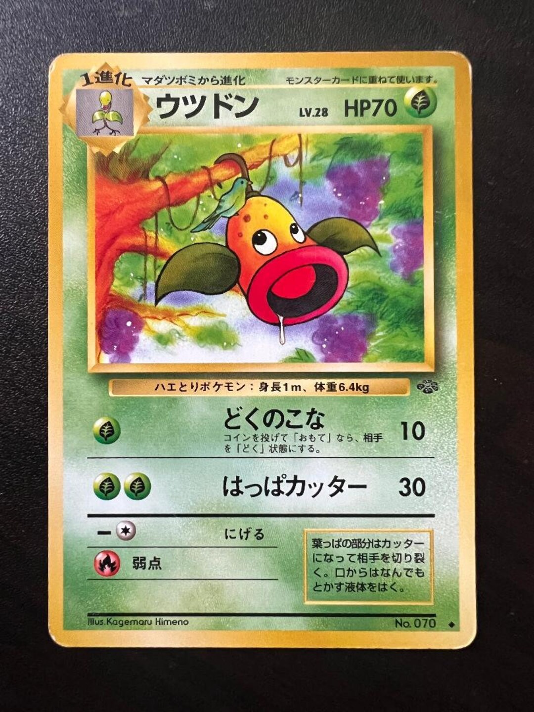 Pocket Monster Card No. 070 - Etsy