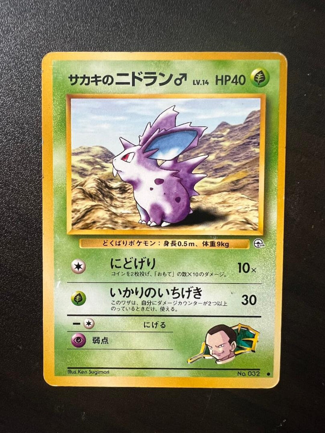 Pocket Monster Card No. 032 - Etsy