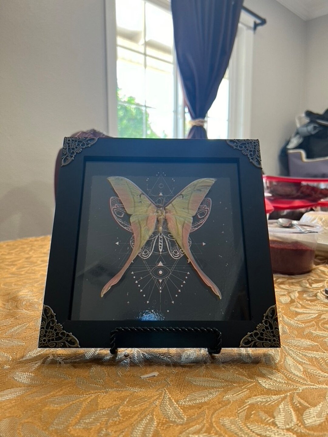 Bedazzled Frame W/ Detailed Image Background Actias Rhodopneuma pink ...