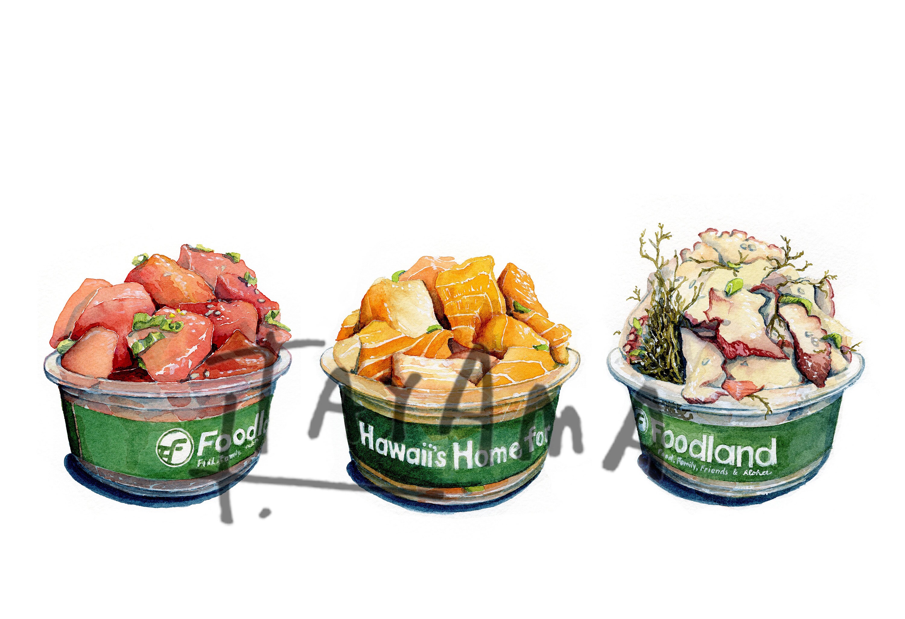 Hawaii Foodland Poke! Oahu - Shoyu Ahi Salmon Tako Poke Foodland ...