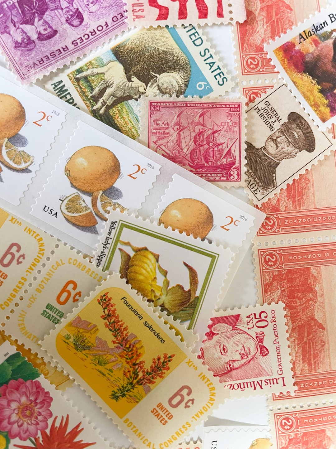 Sunset Color Stamp Collection - Etsy