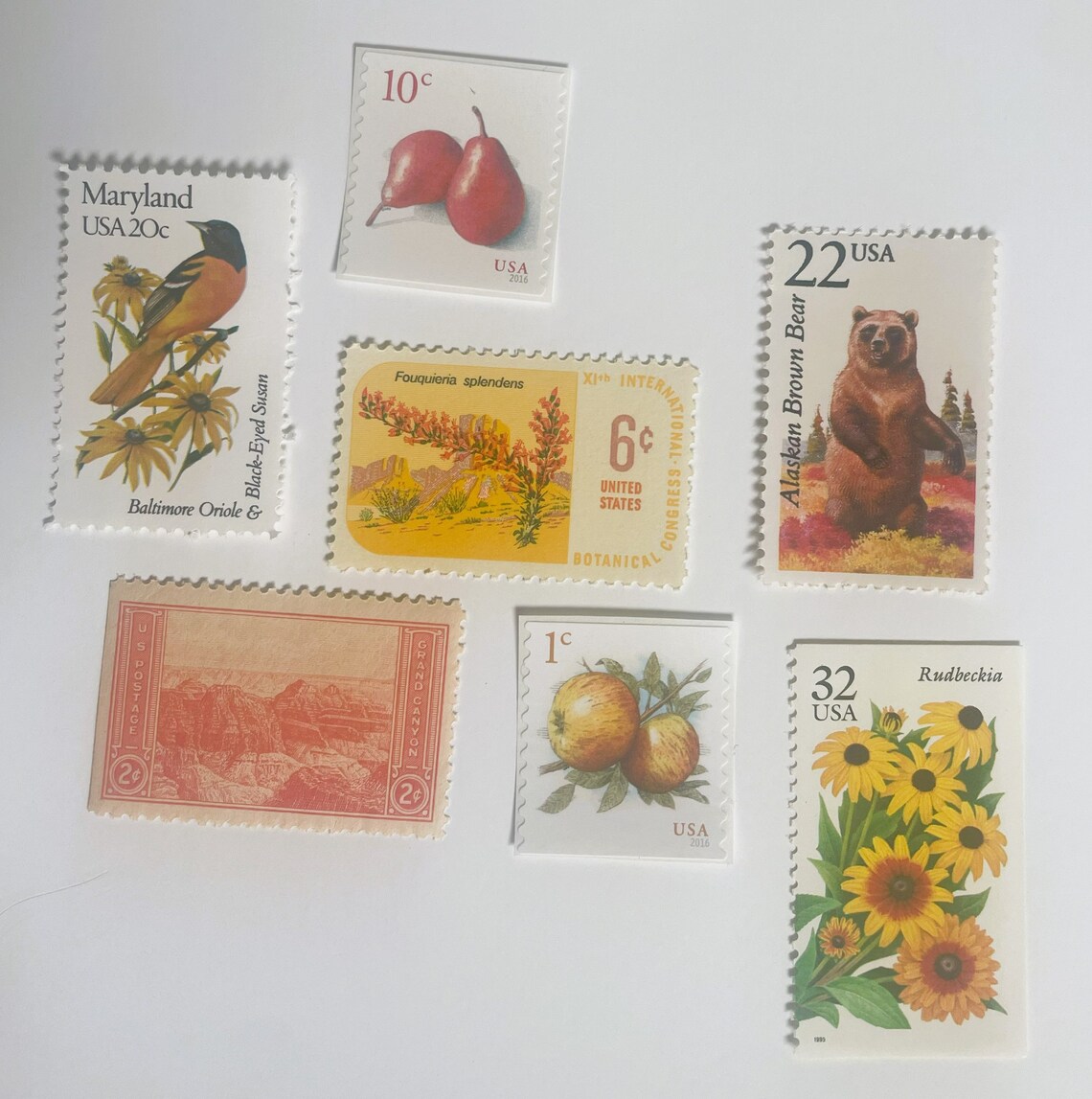 Sunset Color Stamp Collection - Etsy