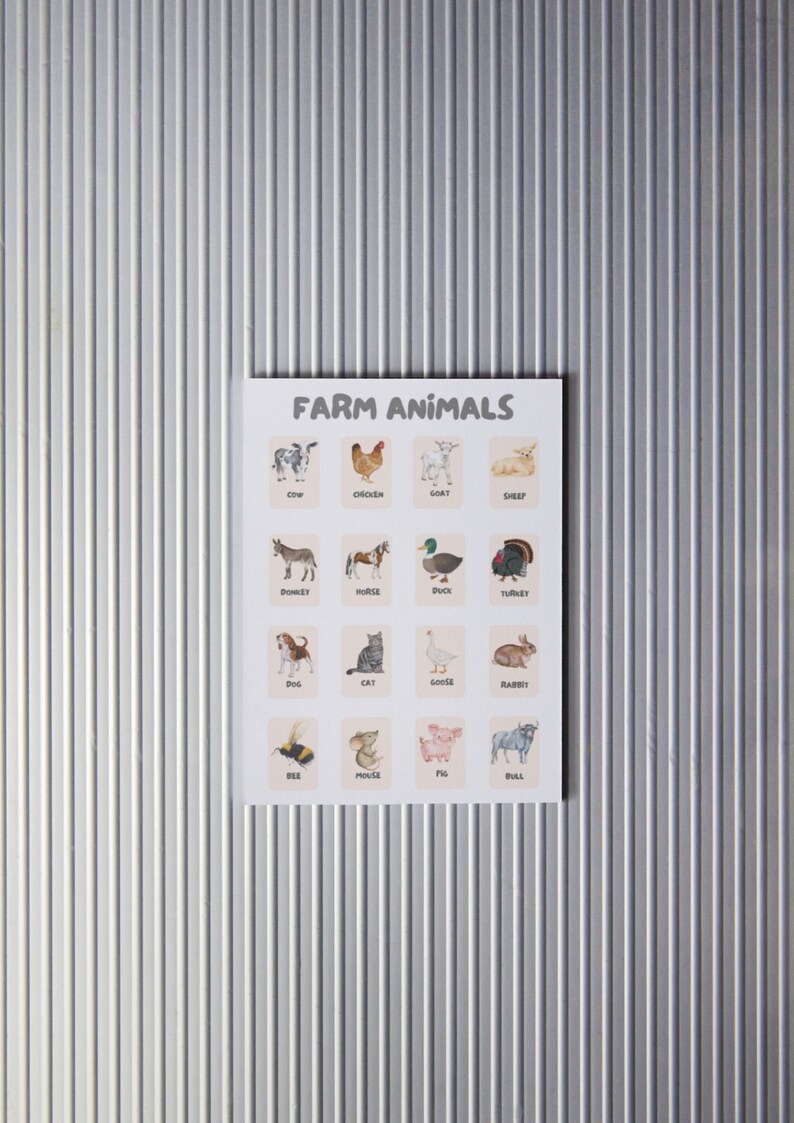 Farm Animals Flashcards and Poster-montessori Educational Material - Etsy