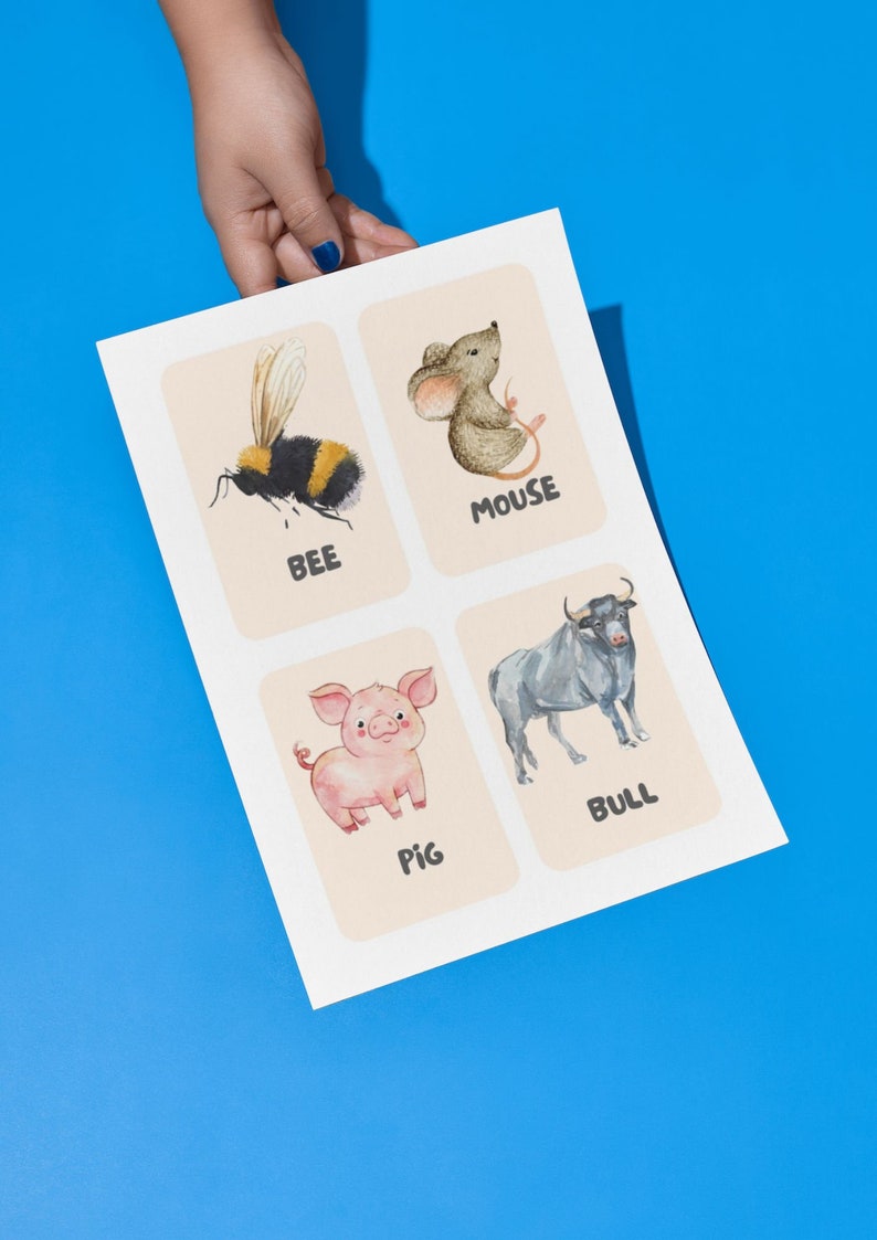 Farm Animals Flashcards and Poster-montessori Educational Material - Etsy