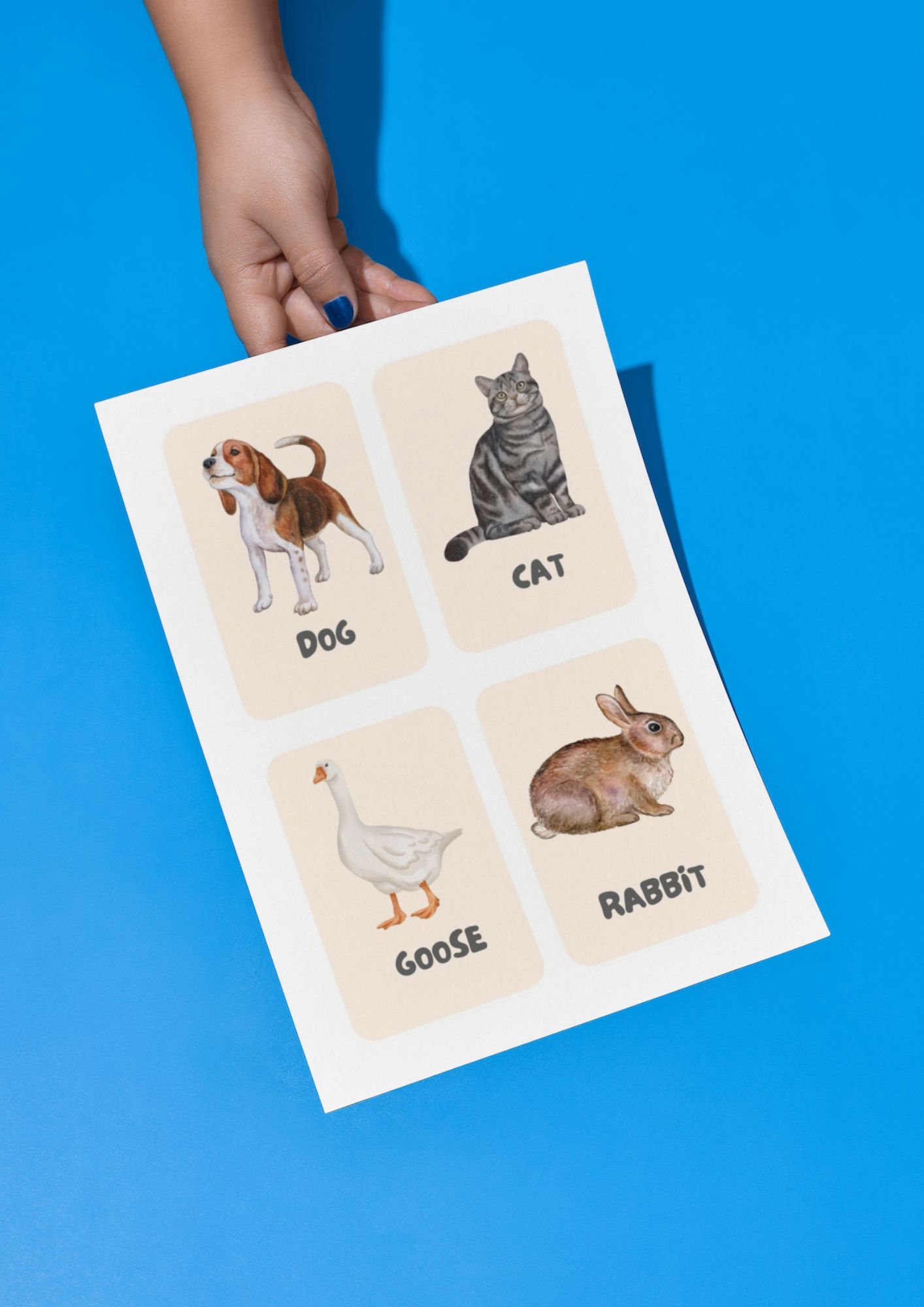 Farm Animals Full Set! Flashcards, Poster, Board Game. Montessori ...