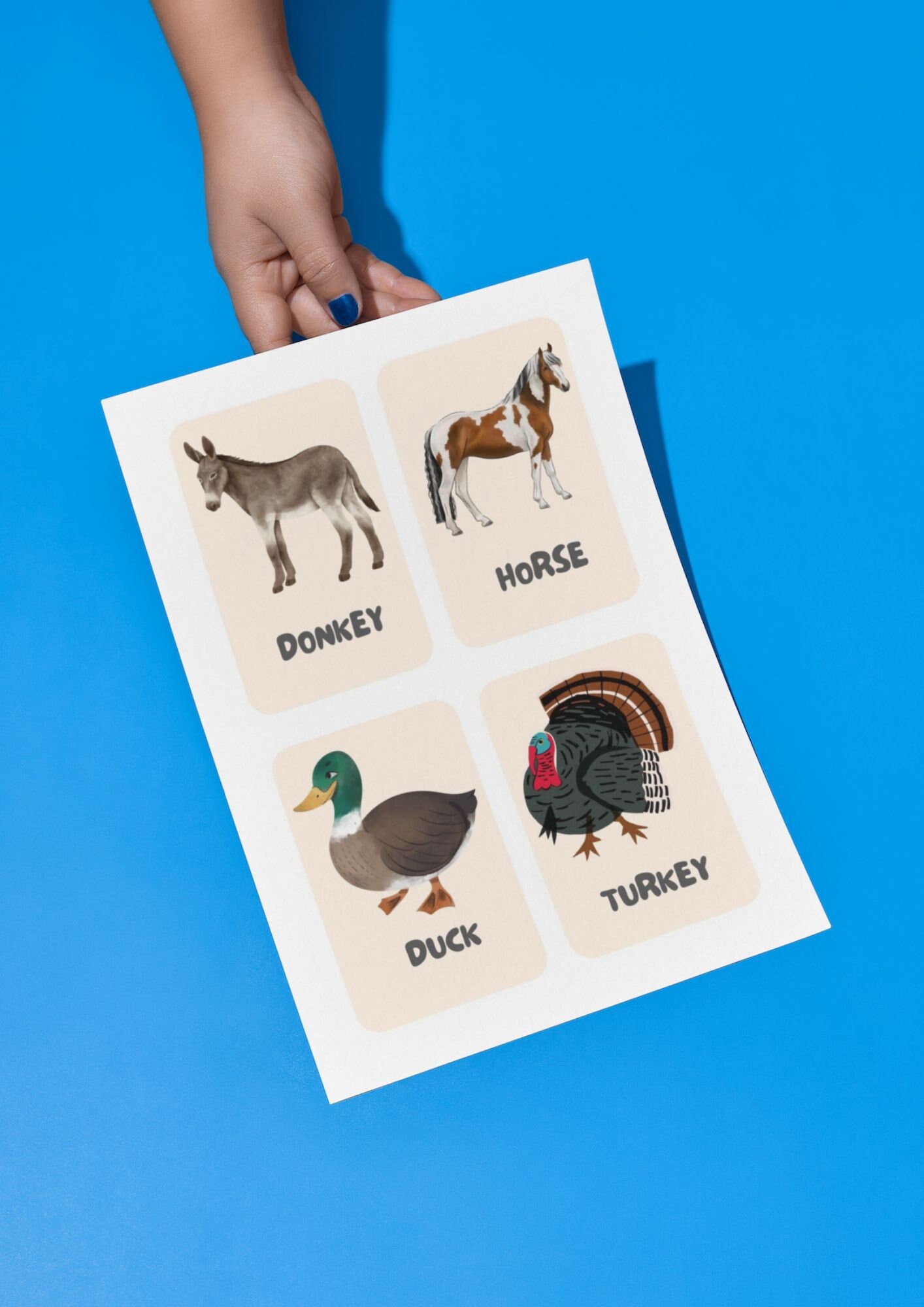 Farm Animals Flashcards and Poster-montessori Educational Material - Etsy