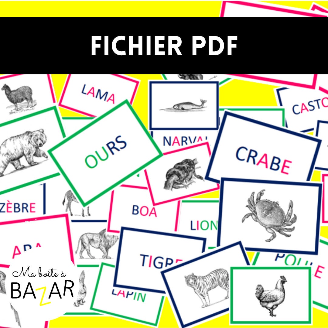 Reading, Montessori Silent Dictations, Animals, PDF File to Download ...