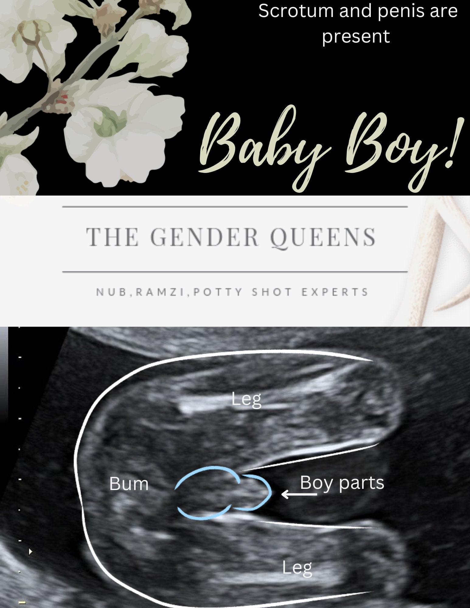 Potty Shot Confirmation Drawing - Etsy