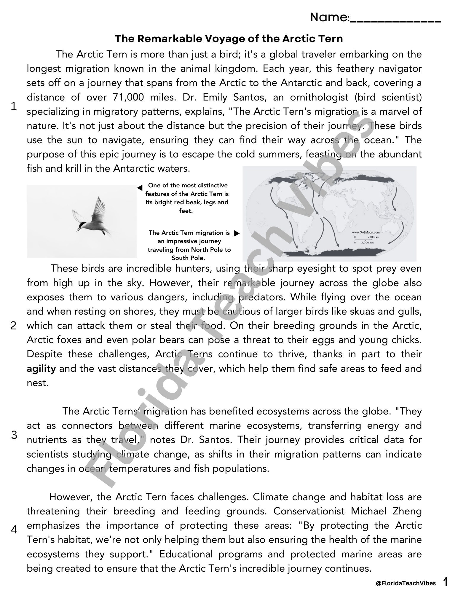 Fourth Grade F.A.S.T. ELA Practice Test: Comprehensive Reading ...