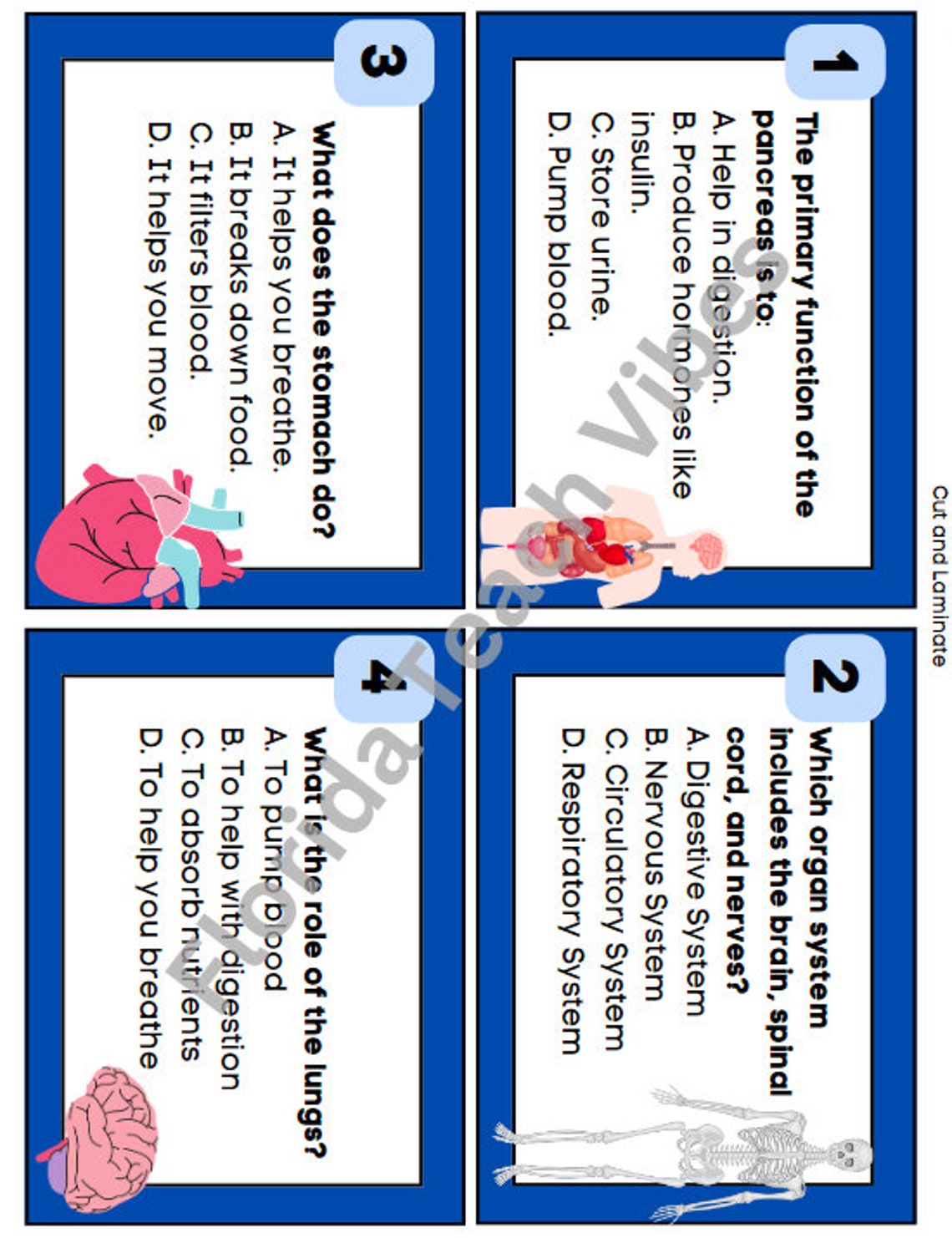 5th Grade Science | Body Systems | F.A.S.T. Test Prep - Etsy