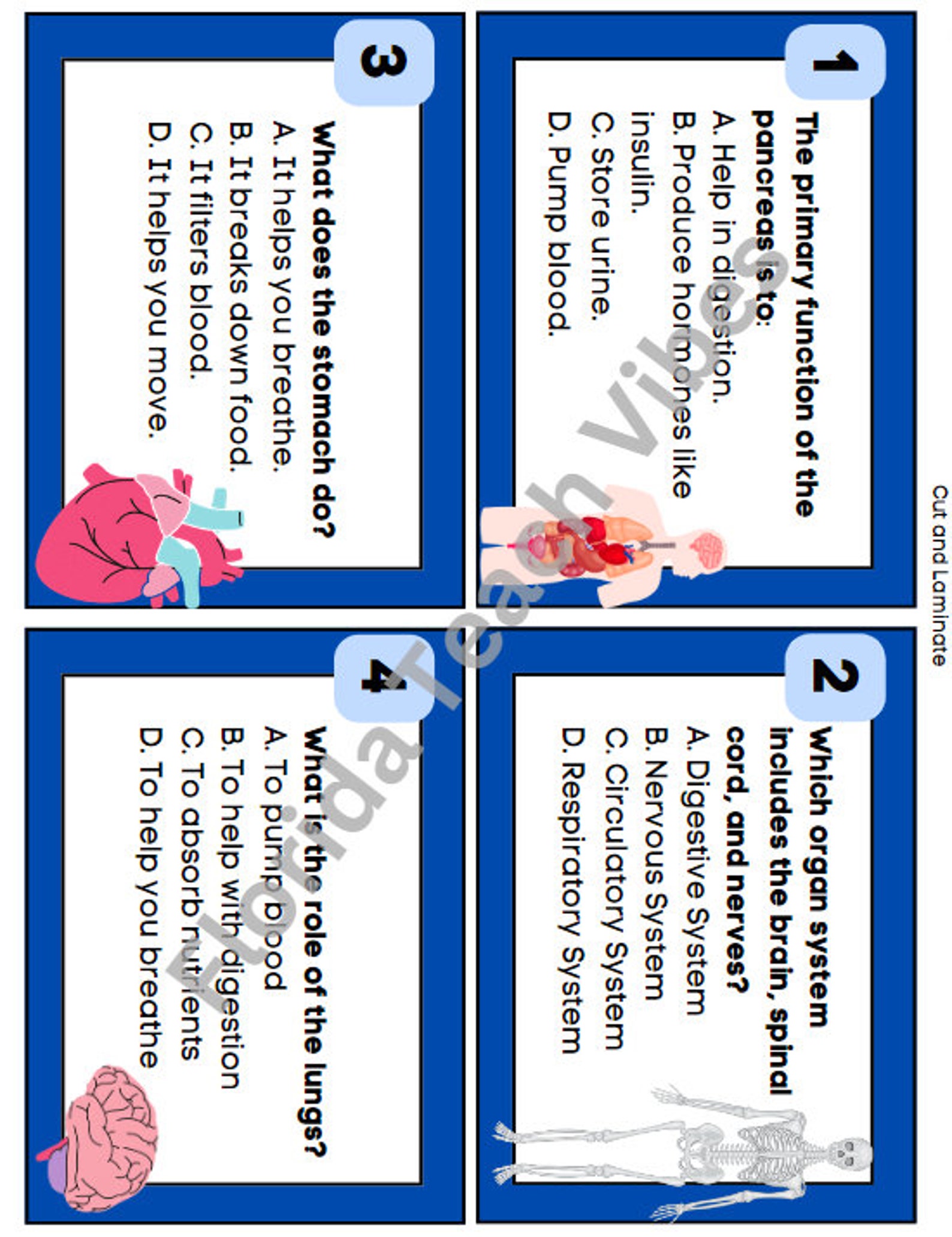 5th Grade Science | Body Systems | F.A.S.T. Test Prep - Etsy