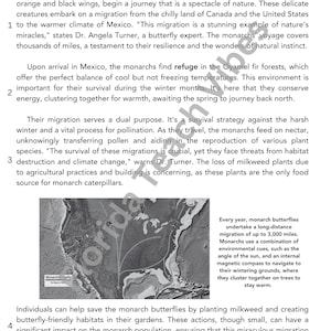 Third Grade F.A.S.T. ELA Practice Test: Comprehensive Reading & Grammar ...