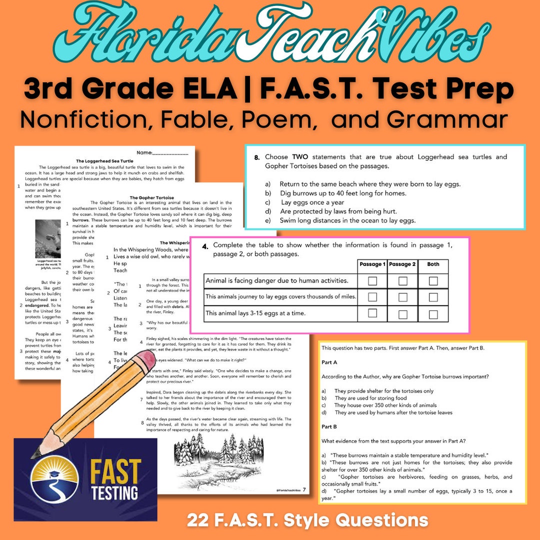 Third Grade F.A.S.T. ELA Practice Test: Comprehensive Reading & Grammar ...