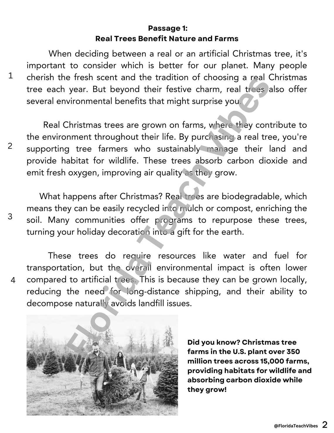 4th and 5th Christmas Tree Opinion Essay & Rubric | B.E.S.T. Text-based ...