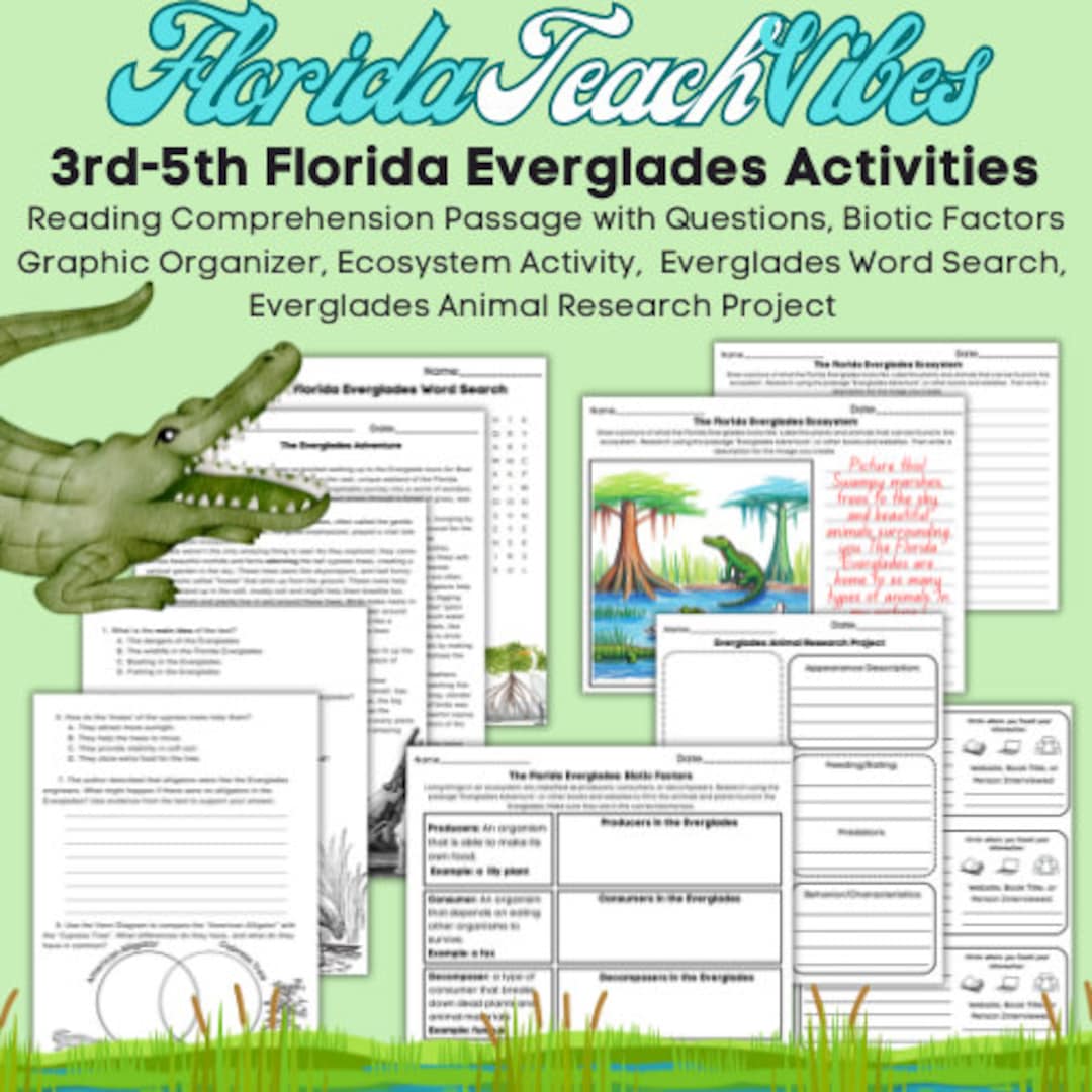 3rd, 4th, 5th Florida Everglades Ecosystem Activities | Science ...