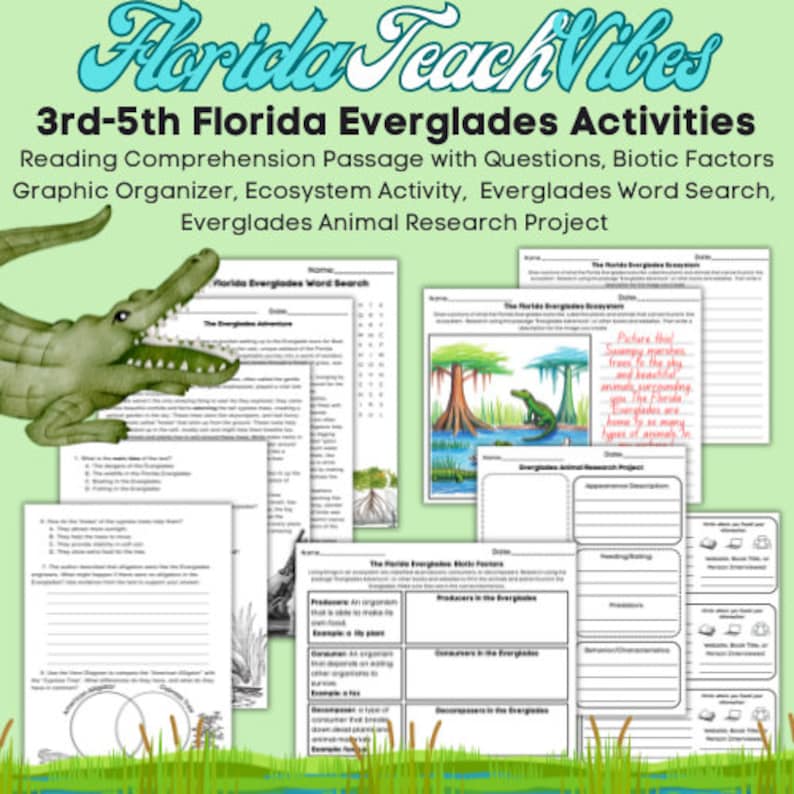 3rd, 4th, 5th Florida Everglades Ecosystem Activities | Science ...