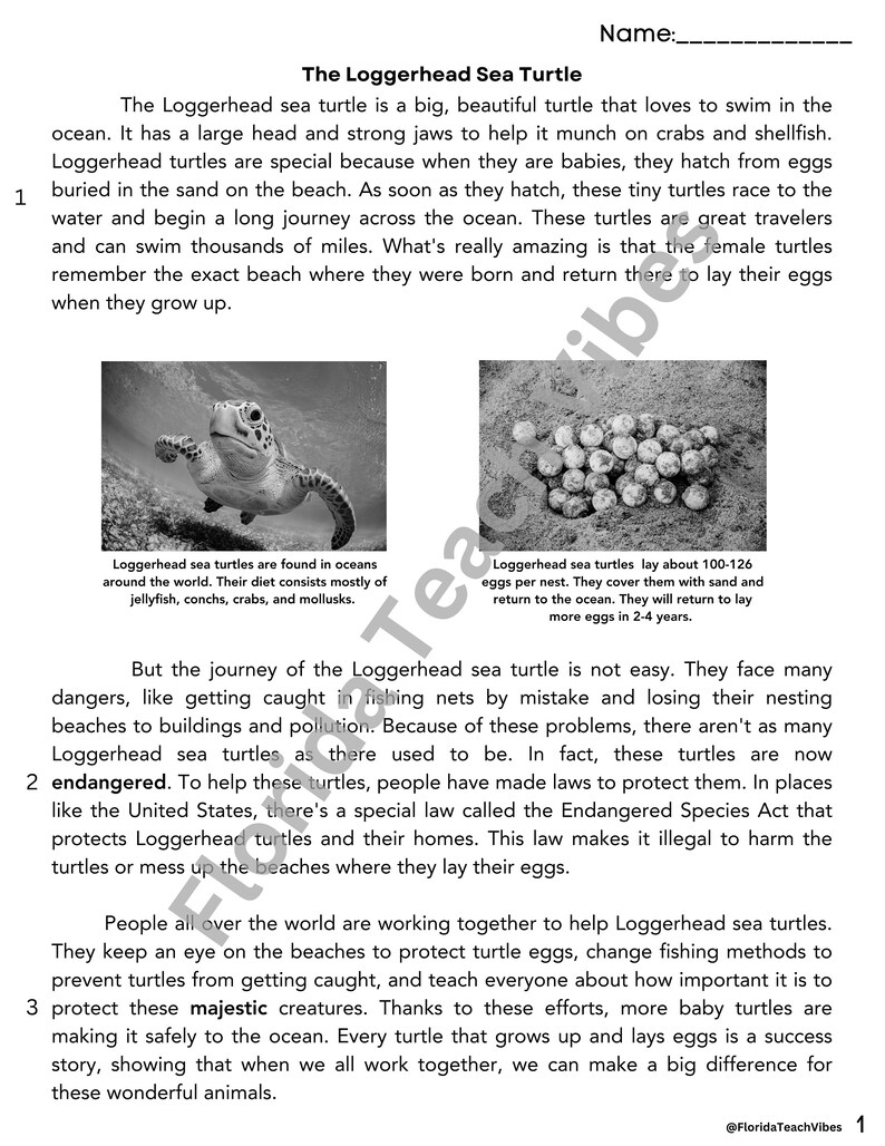 Third Grade F.A.S.T. ELA Practice Test: Comprehensive Reading & Grammar ...