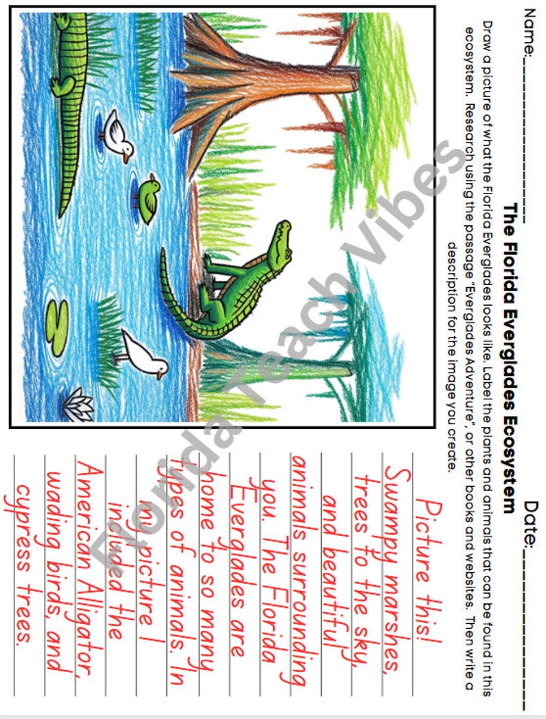 3rd, 4th, 5th Florida Everglades Ecosystem Activities | Science ...