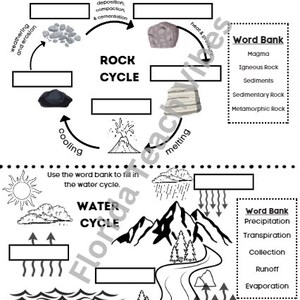 5th Grade Science | Earth's Resources, Weather, Climate, Cycles | F.A.S ...