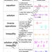 Ultimate 6th Grade Math Vocabulary Graphic Organizer for Effective Note ...