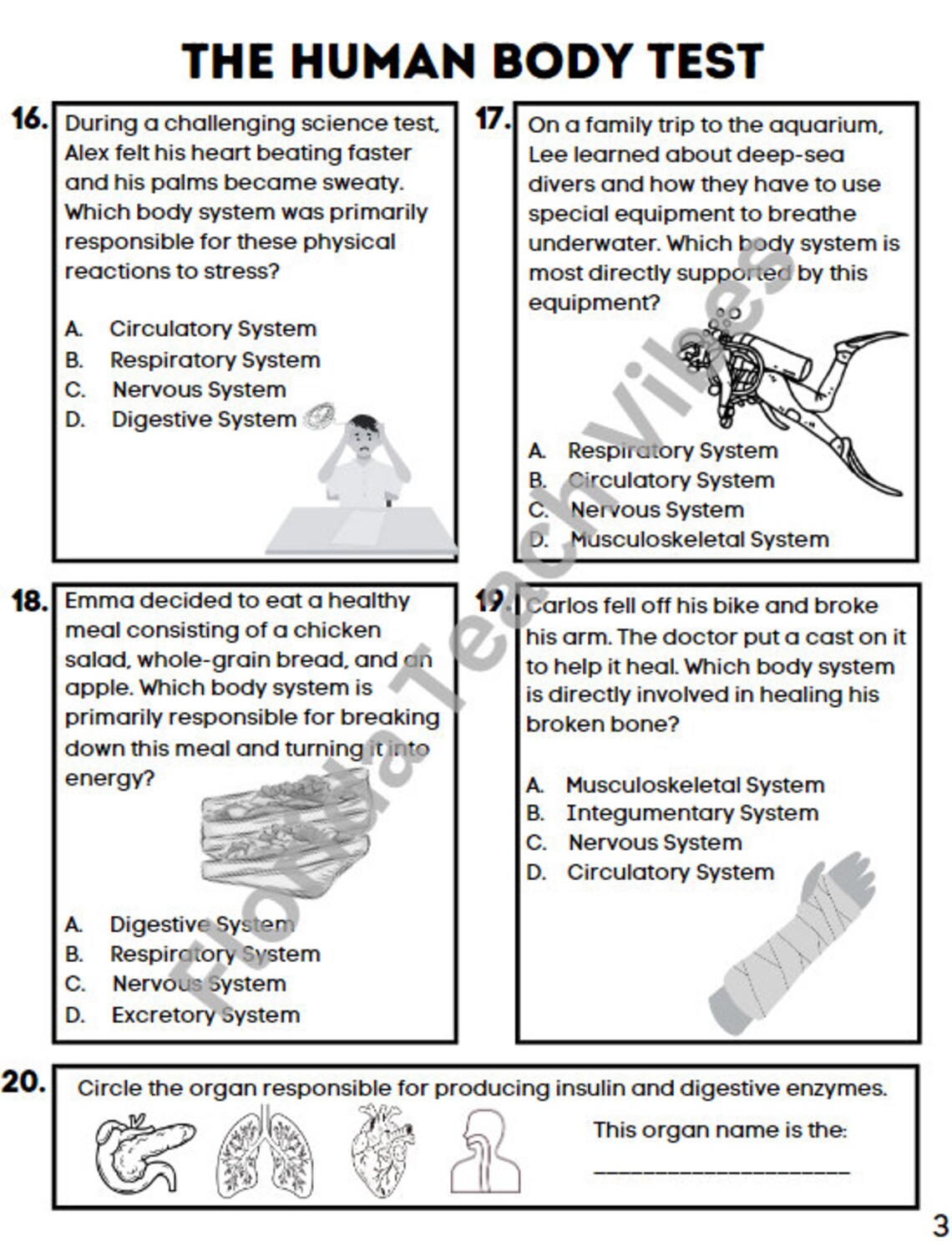 5th Grade Science | Body Systems | F.A.S.T. Test Prep - Etsy
