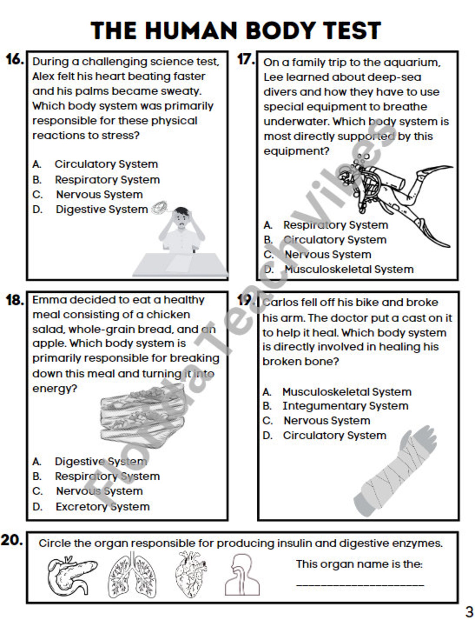 5th Grade Science | Body Systems | F.A.S.T. Test Prep - Etsy