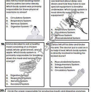 5th Grade Science | Body Systems | F.A.S.T. Test Prep - Etsy