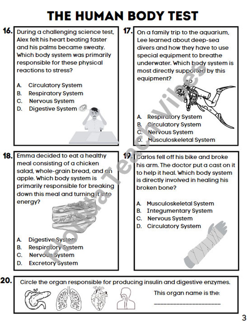 5th Grade Science | Body Systems | F.A.S.T. Test Prep - Etsy