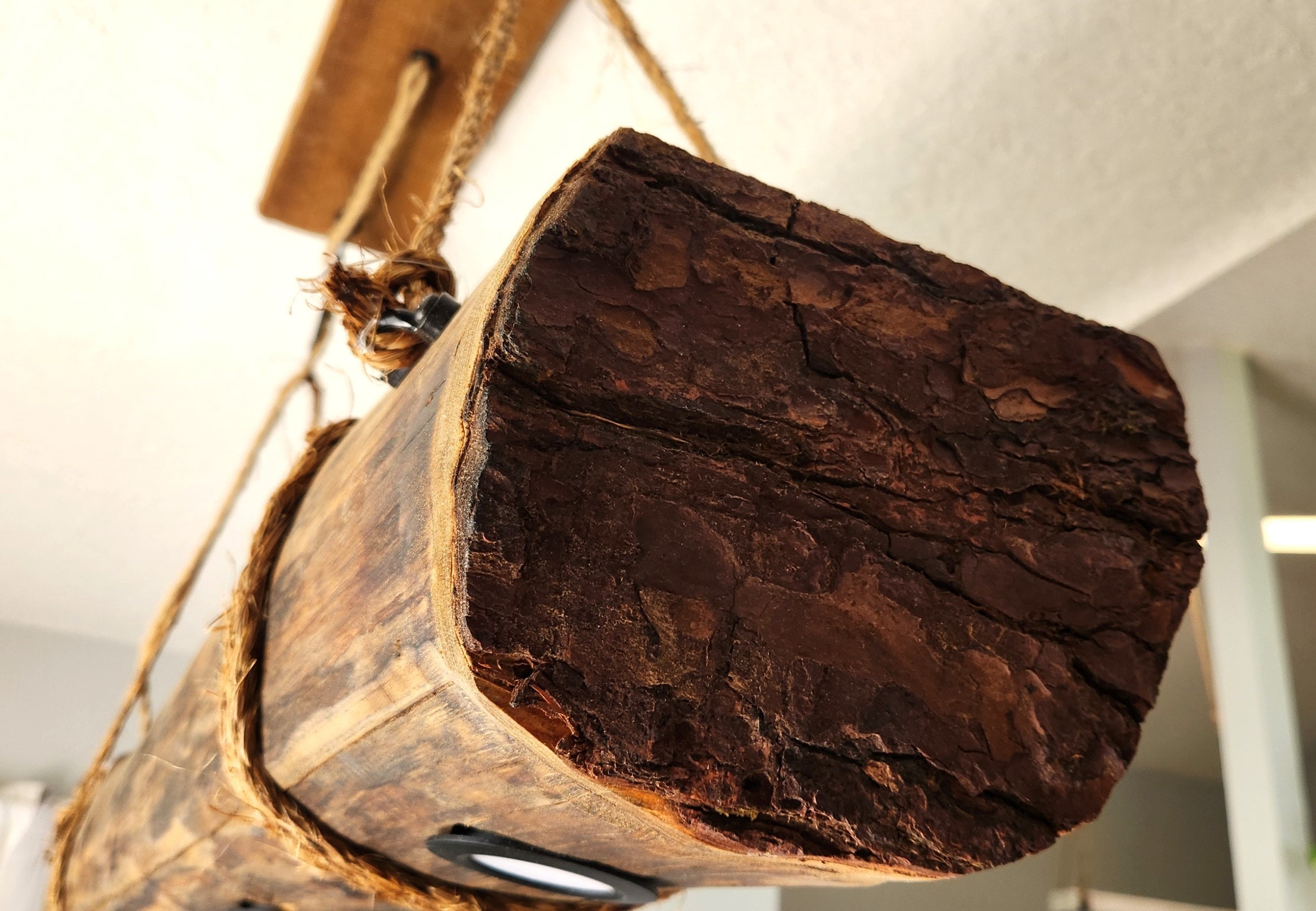 Live Edge Real Log Hanging Chandelier Lamp With Recessed LED Lights ...