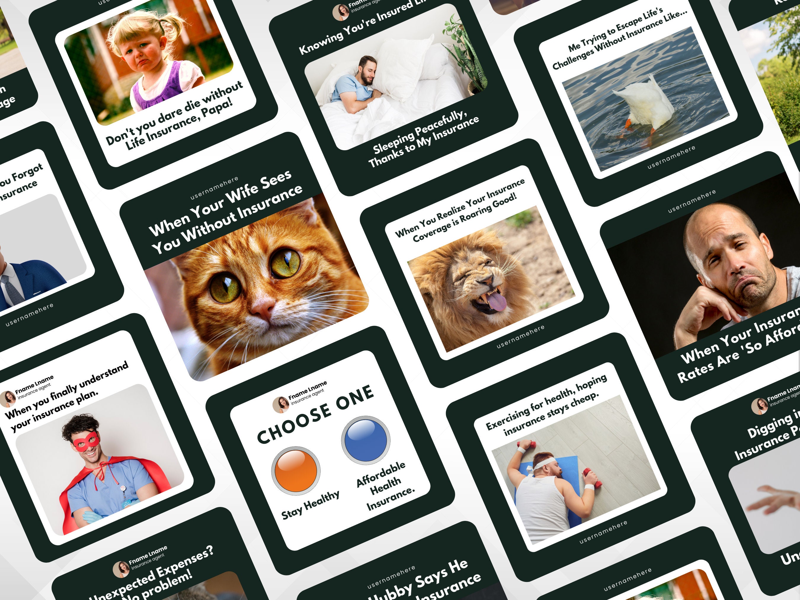 Canva Template for Insurance Agent Fun Memes for Social Media Marketing ...