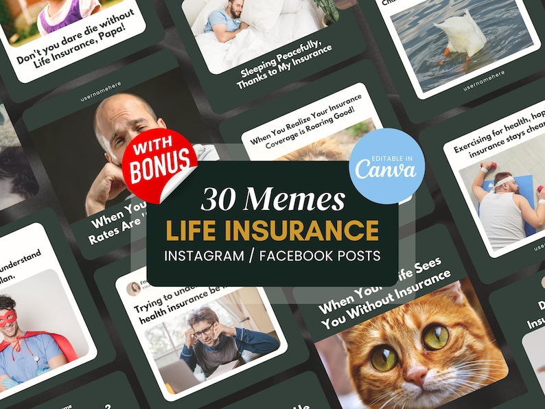 Canva Template for Insurance Agent Fun Memes for Social Media Marketing ...