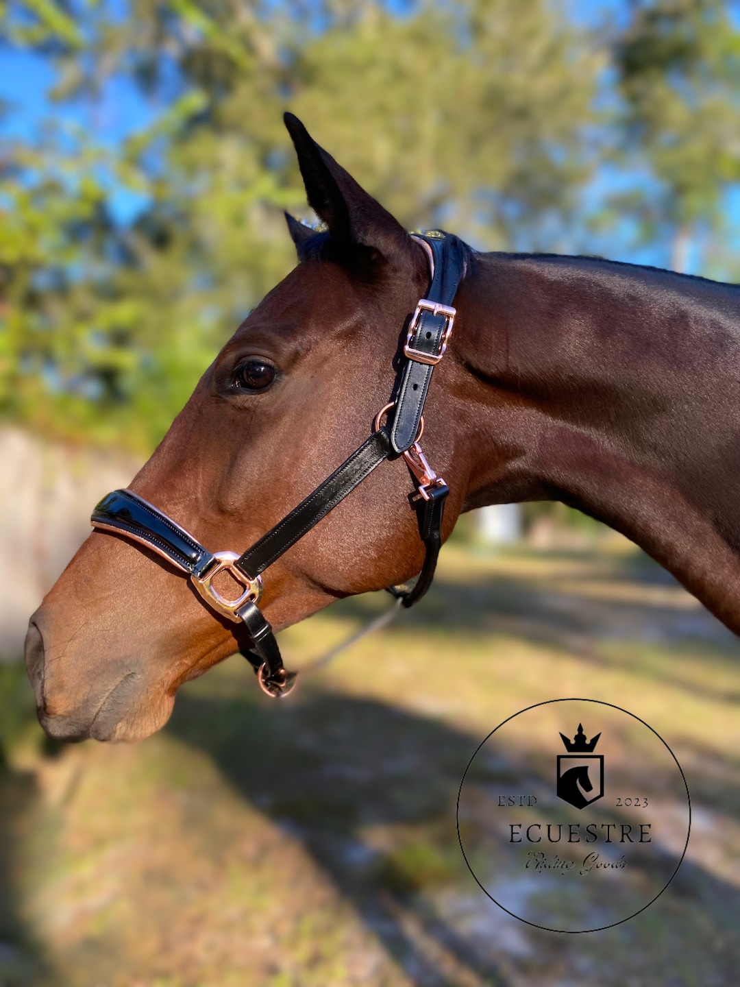Luxury Anatomical Leather Horse Halter - Etsy