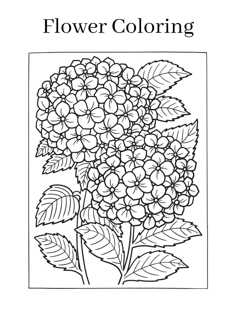 Relaxing Floral Coloring Page for Adults, Flower Pattern Coloring Sheet ...