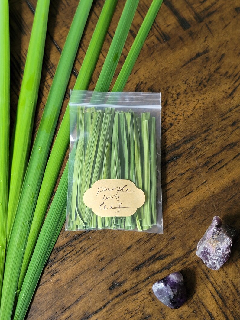 Iris Leaves, Dried iris Versicolor Purification, Wisdom, Communication ...