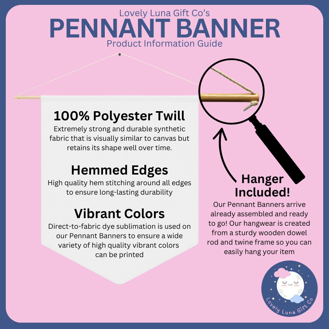 Boys Rule Girls Drool Pennant Style Banner Boys Room Pennant Flag Funny ...