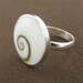 Shiva's Eye Shell Also Known as Pacifica Cat's Eye Statement Ring ...