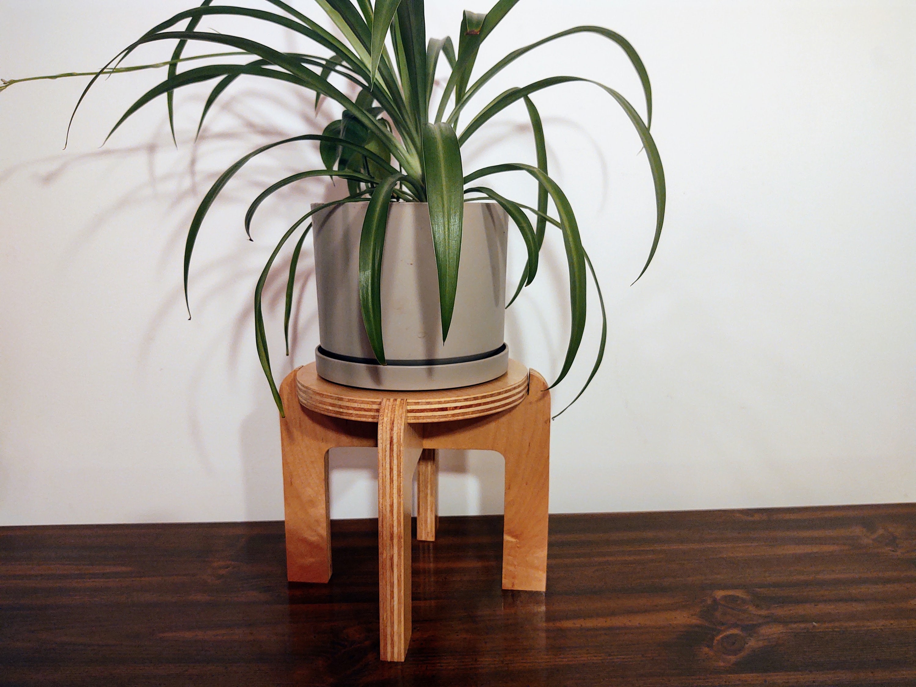 8 Inch Tall Wooden Indoor Plant Stand Riser - Etsy