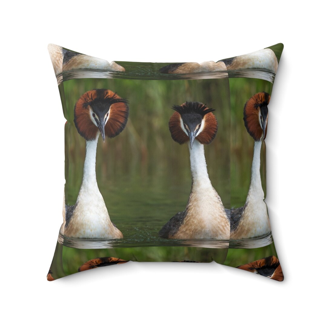 Puteketeke New Zealand's Bird of the Century - Etsy